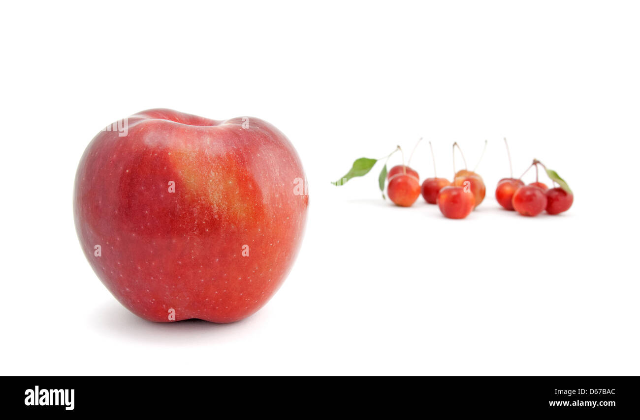 Big red apple with small Chinese cherry apples in the background ...