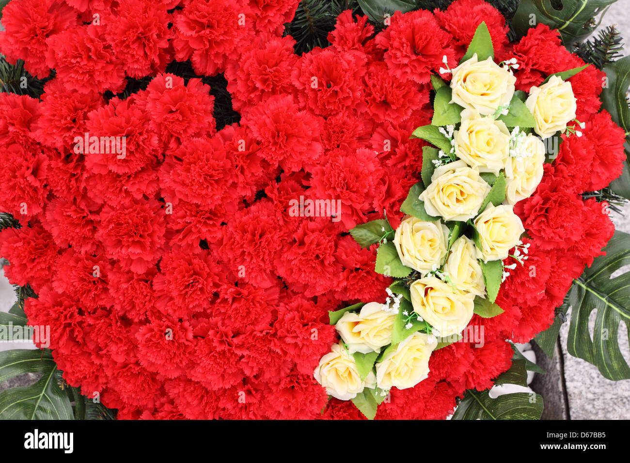 Red carnations hi-res stock photography and images - Alamy