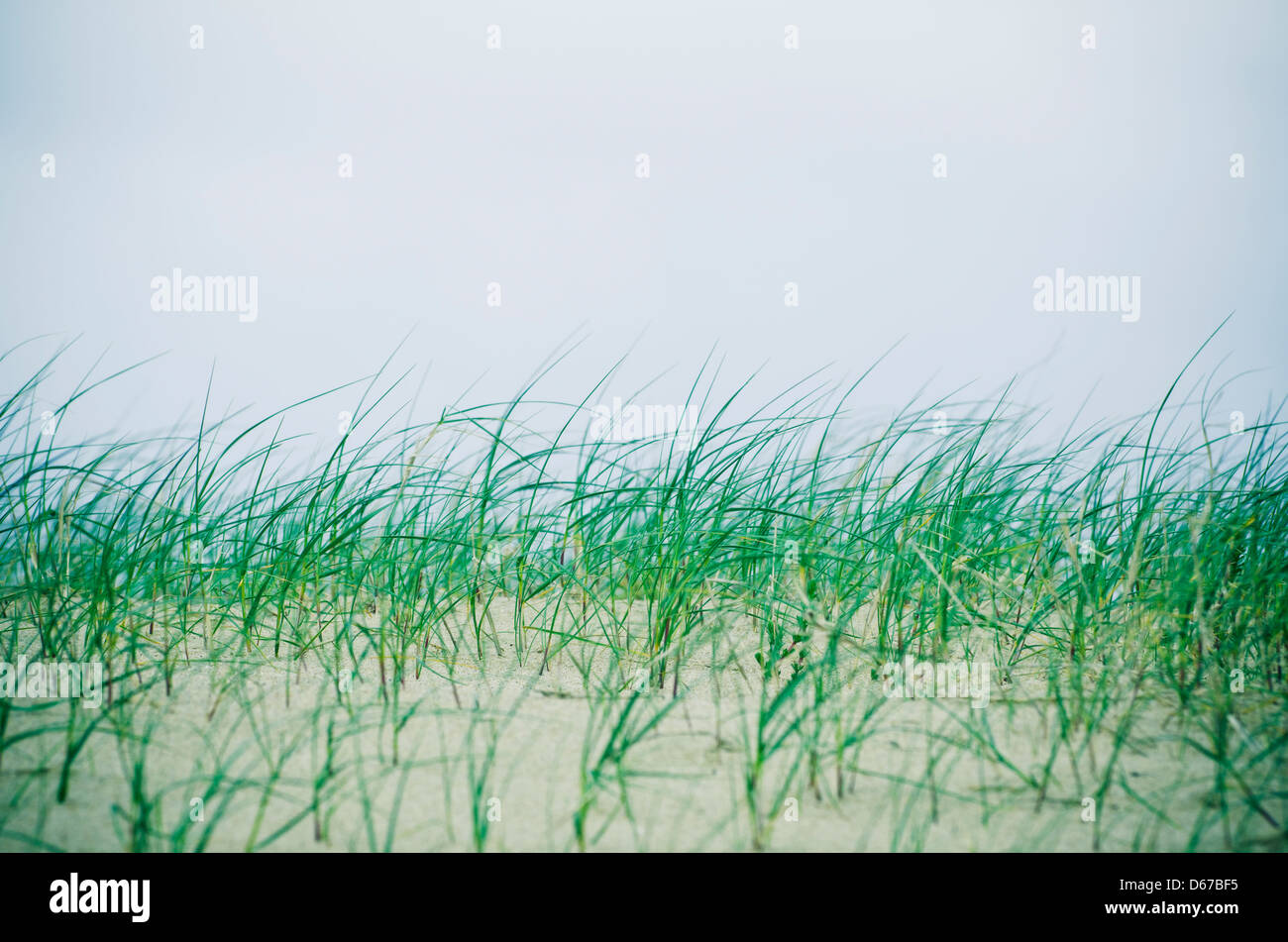 Beautiful sandy natural background hi-res stock photography and images ...