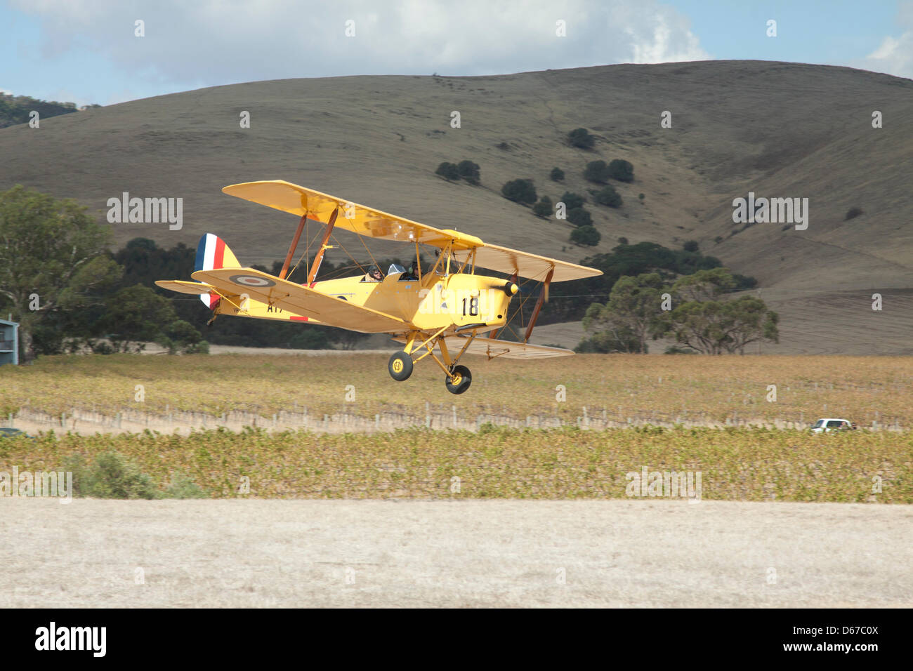 Australian tiger moth hi-res stock photography and images - Alamy
