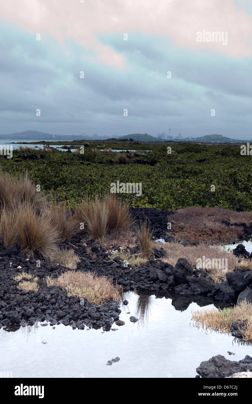 A view of Rangitoto Island on the North Island of New Zealand Stock ...