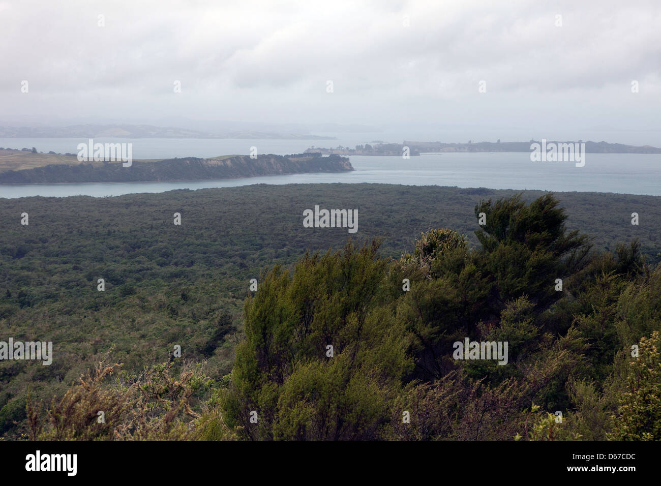 A view of Rangitoto Island on the North Island of New Zealand Stock ...