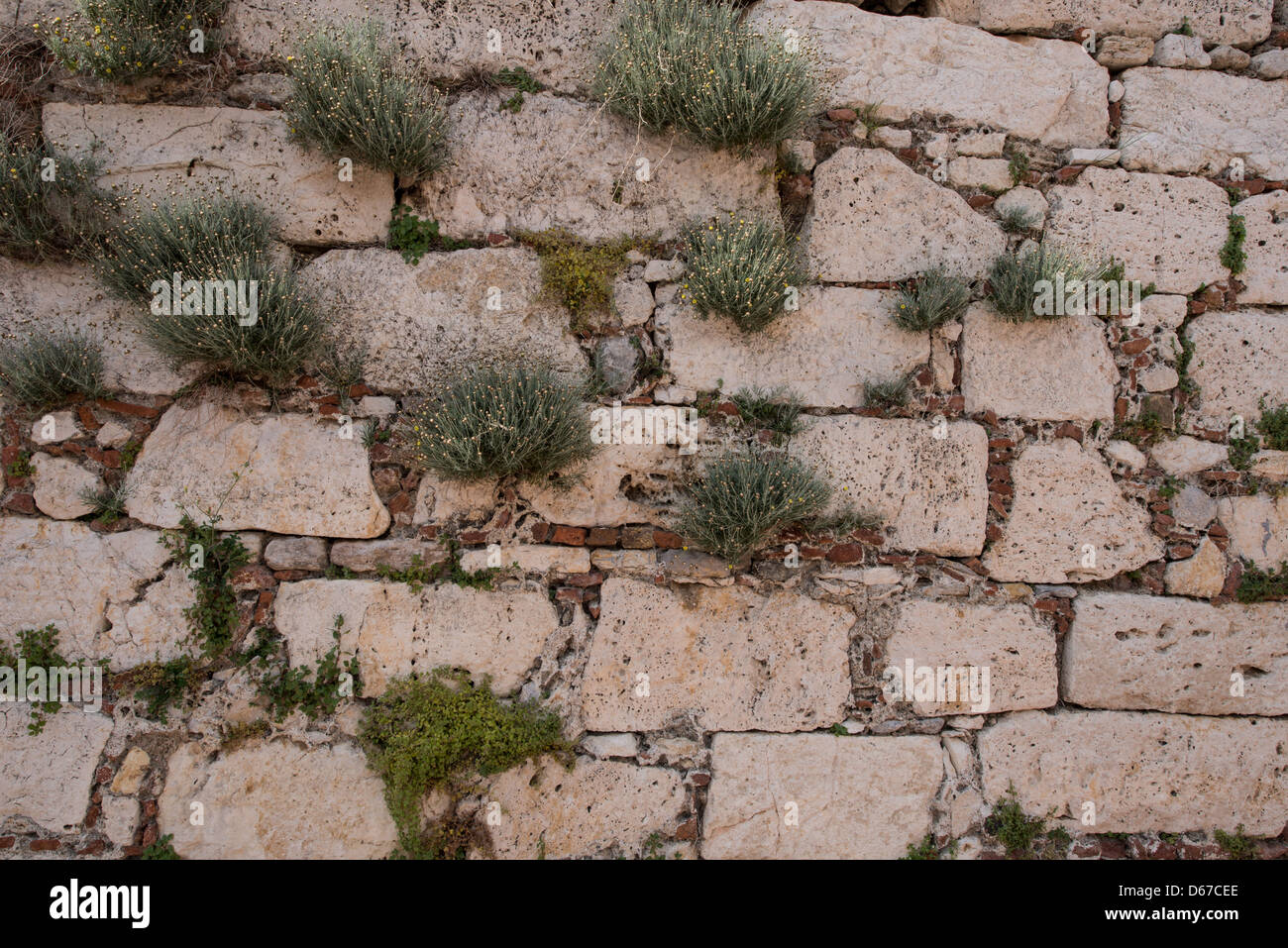 Ancient city wall Stock Photo - Alamy