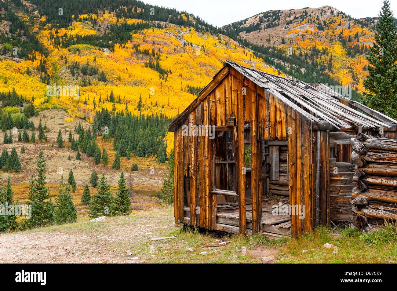 Banker mine flanked with autumn foliage, Sawatch Range, Colorado Stock ...