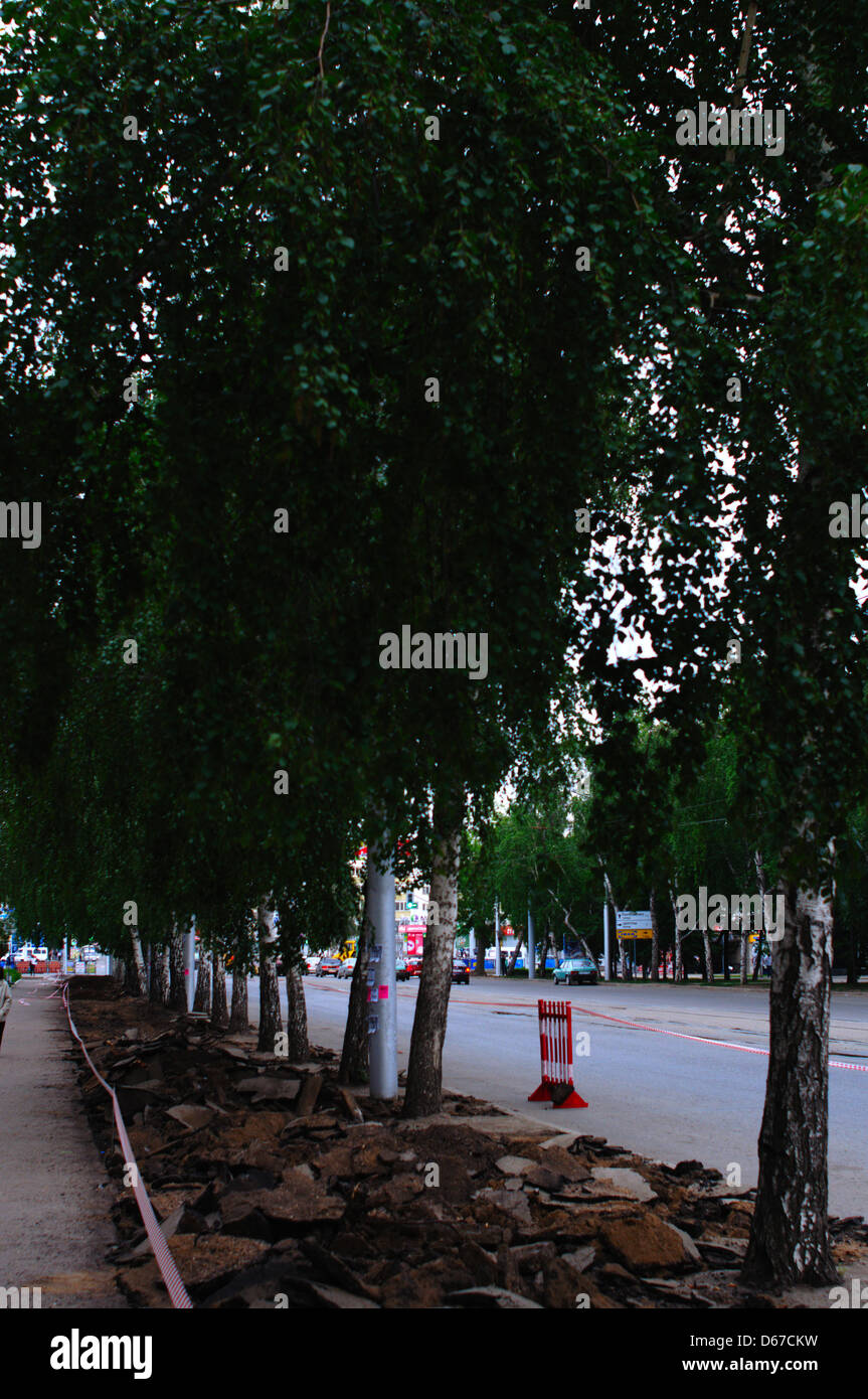 'The Memory of Trees' is a 2012 work titled 'Last Wish'. It is an ...