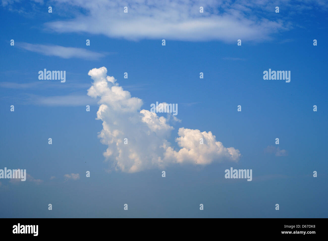 A photo captured with the Nikon D5100 camera, using post-processing ...