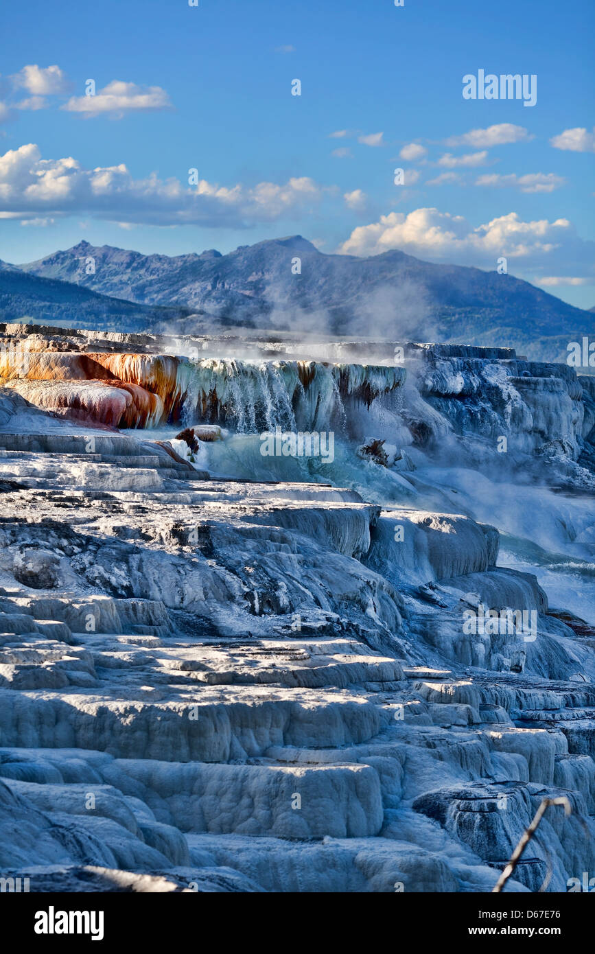 Canary spring mammoth hot springs hi-res stock photography and images ...