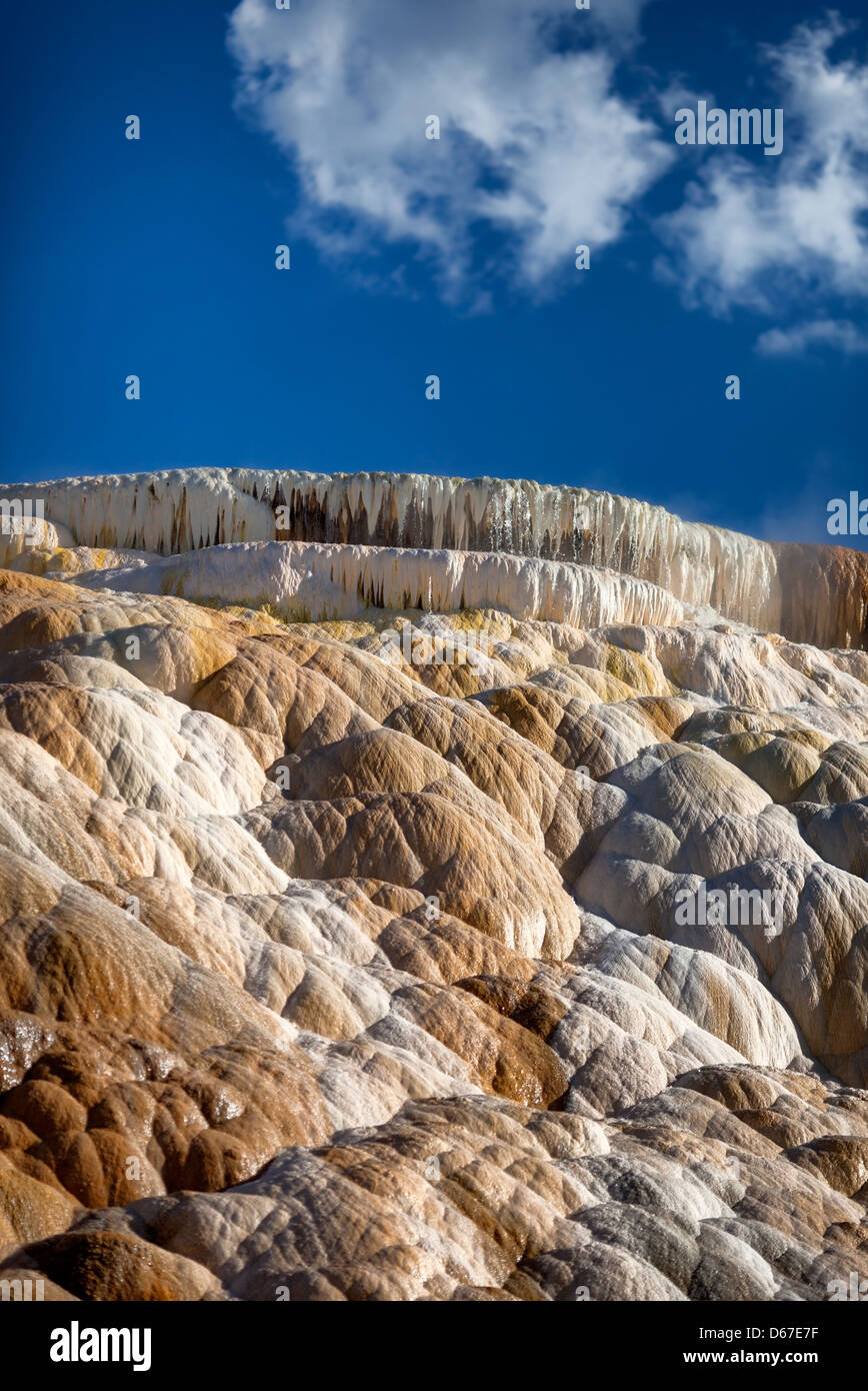 Cascading mounds of travertine at Minerva Terrace in Yellowstone ...