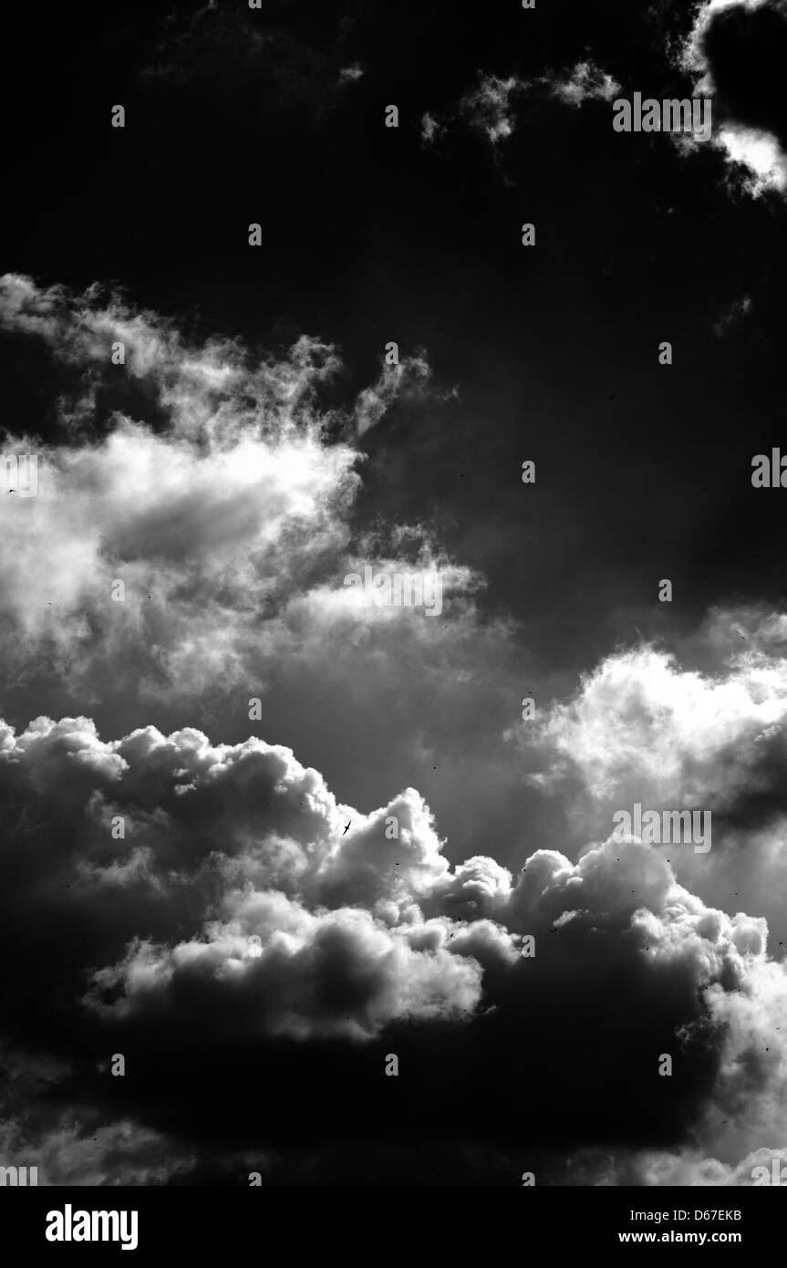 Cc0 image Black and White Stock Photos & Images - Alamy