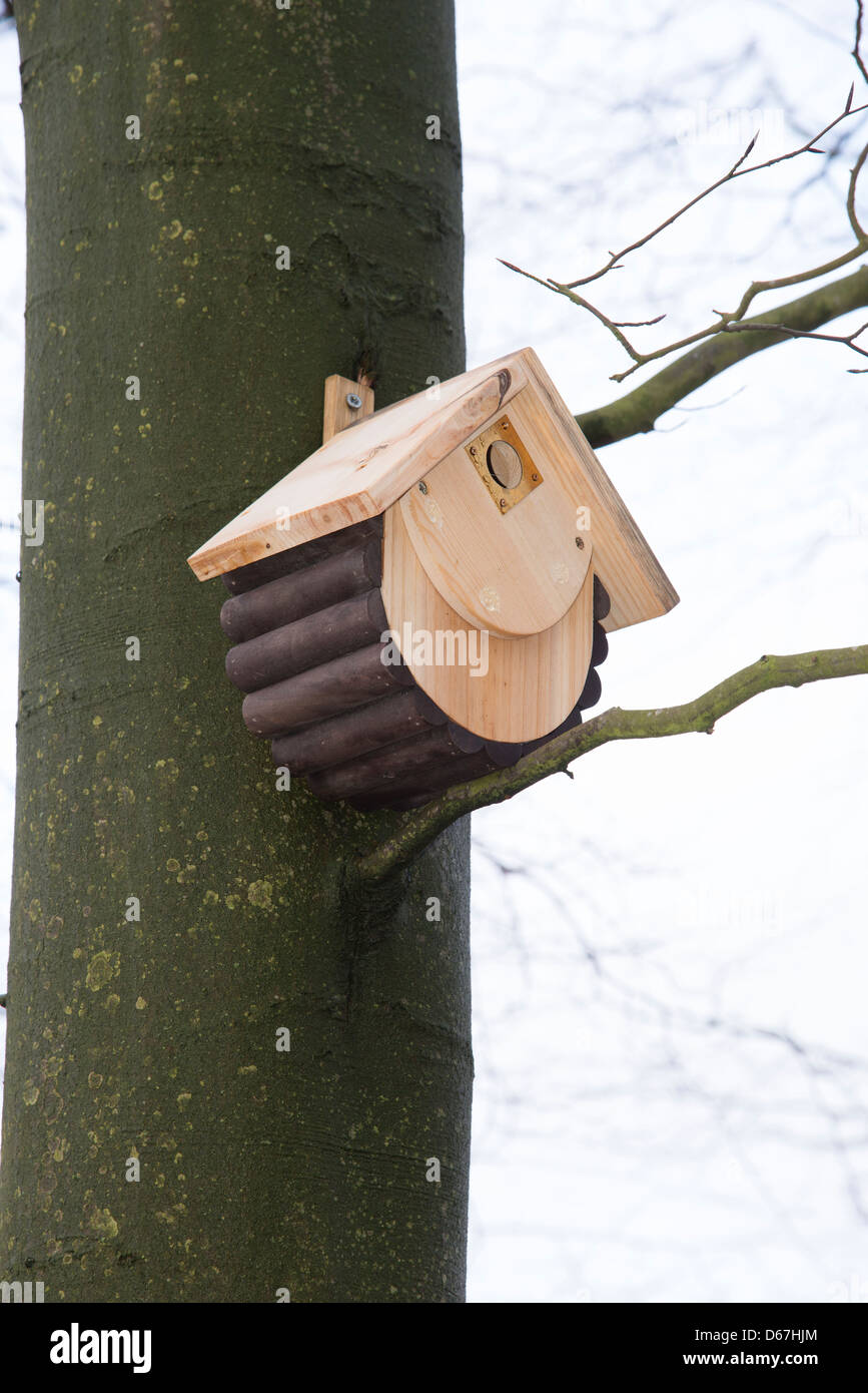 Bird nesting box mounted on a tree Stock Photo - Alamy