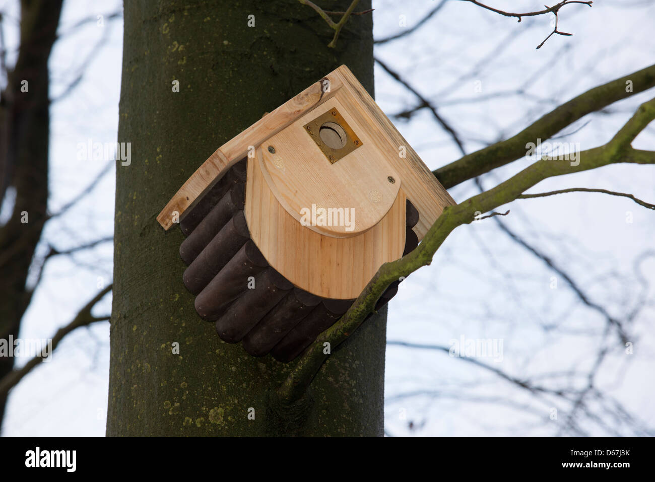 Nesting box for birds hi-res stock photography and images - Alamy