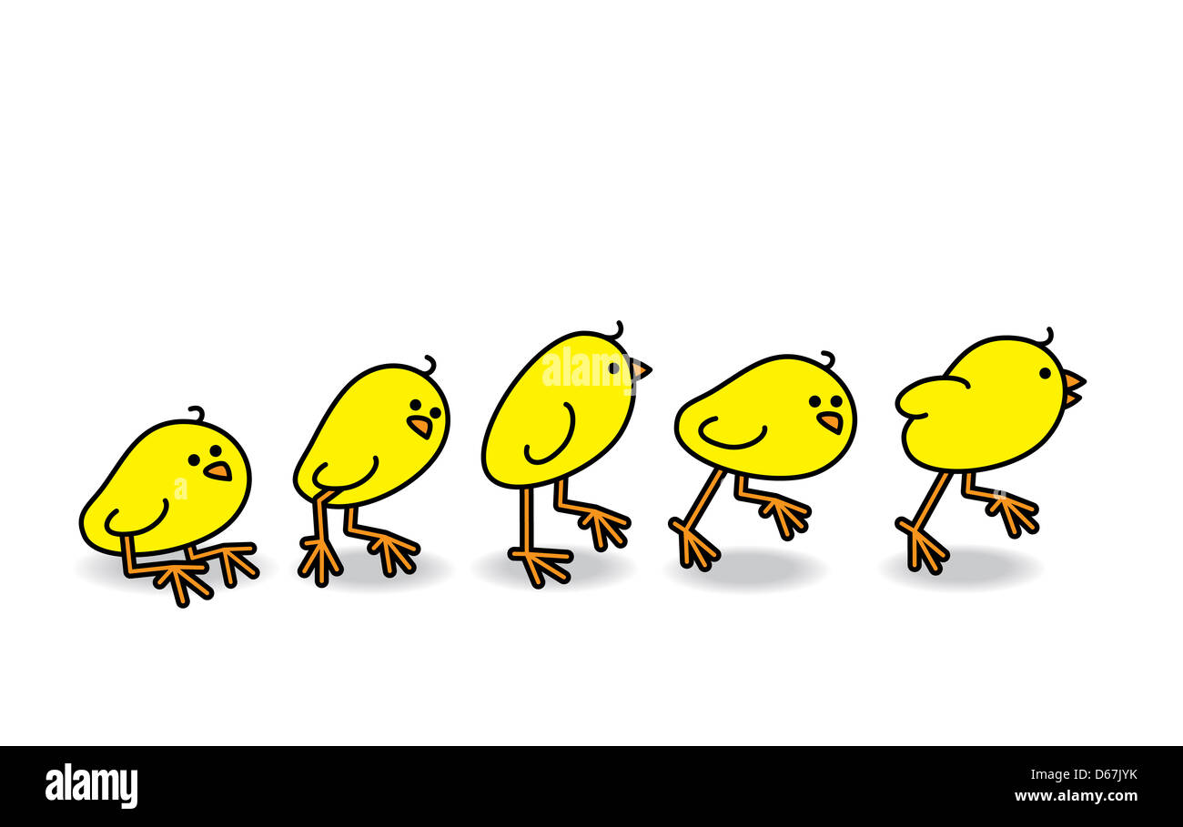 Illustration of Four Small Cute Chicks in a group Scattering on White ...