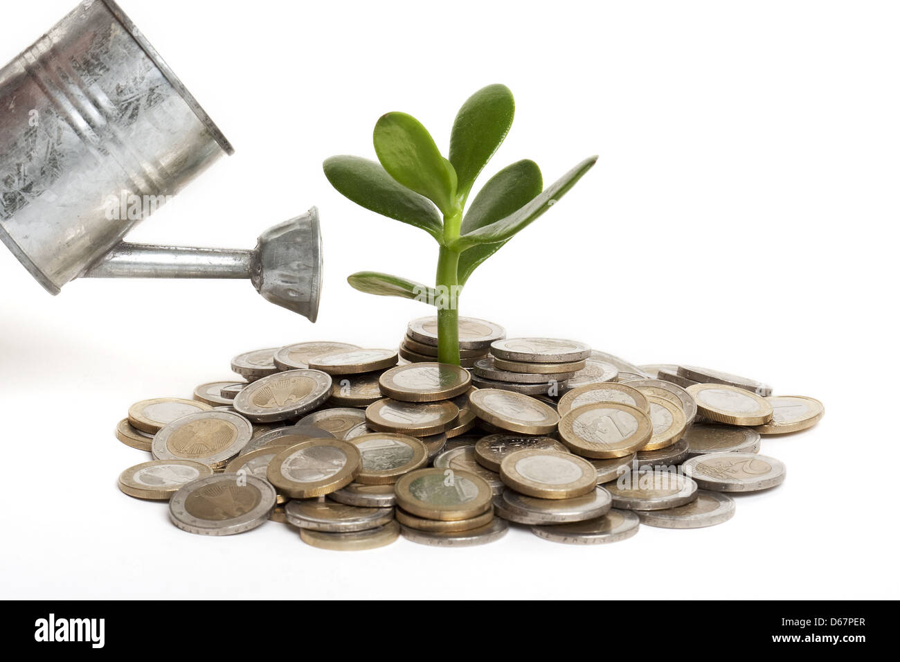 Moneys plant hi-res stock photography and images - Alamy