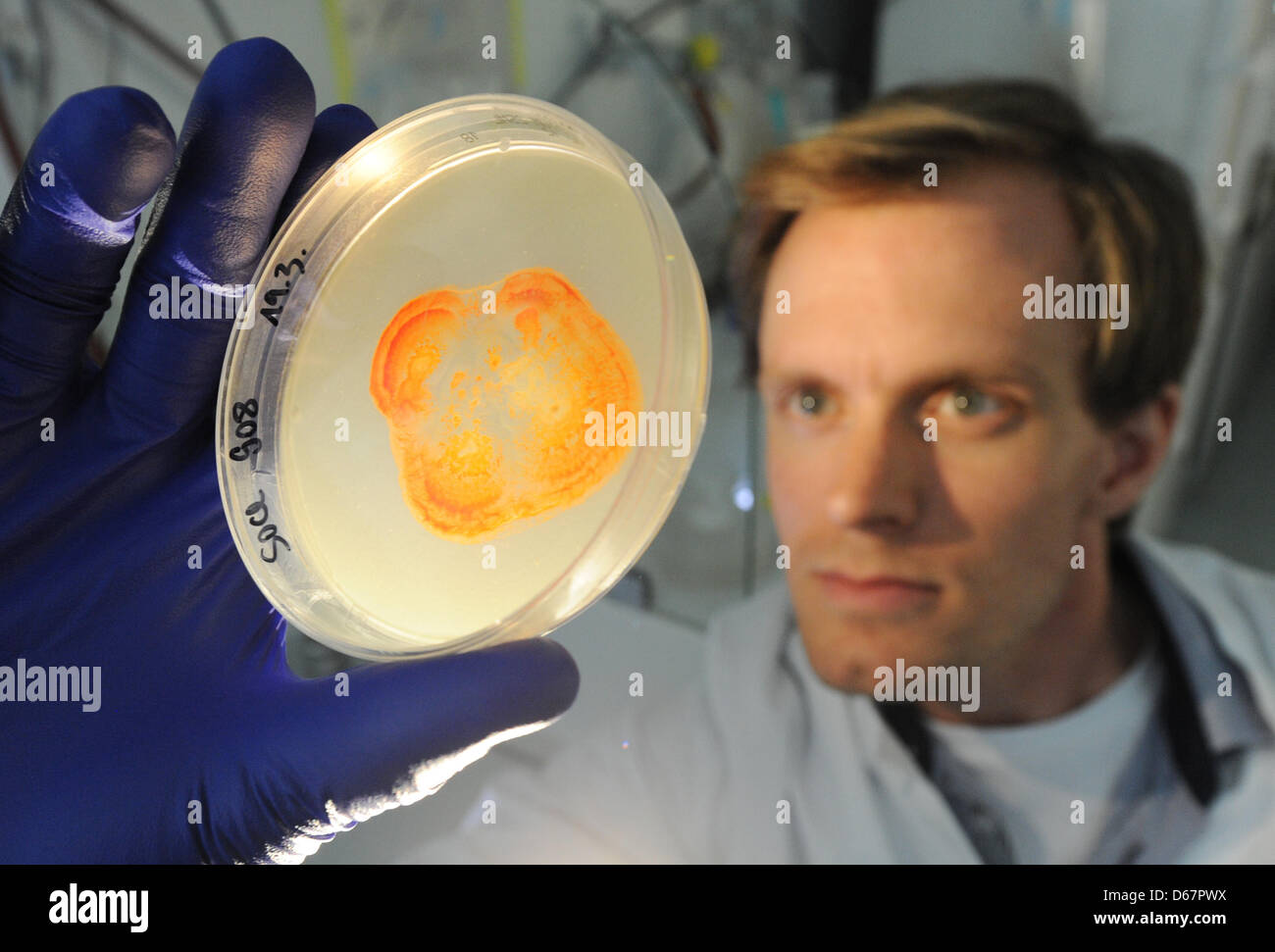 Biotechnologist Matthias Keck holds a Petri dish containing ...