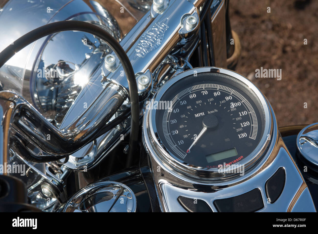 Speedo boy hi-res stock photography and images - Alamy