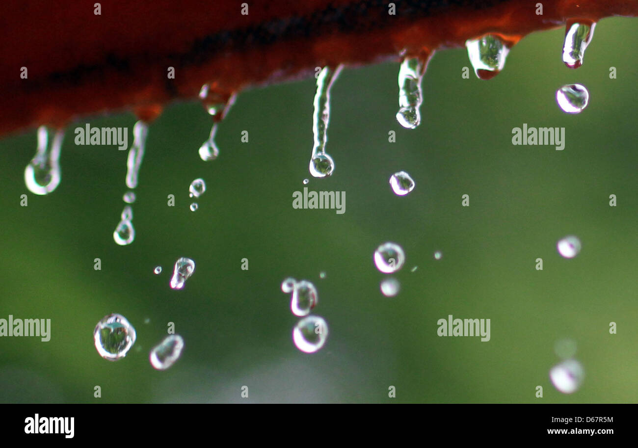Rain drops fall from the roof of a tent in Neuenkirchen am Schaalsee ...