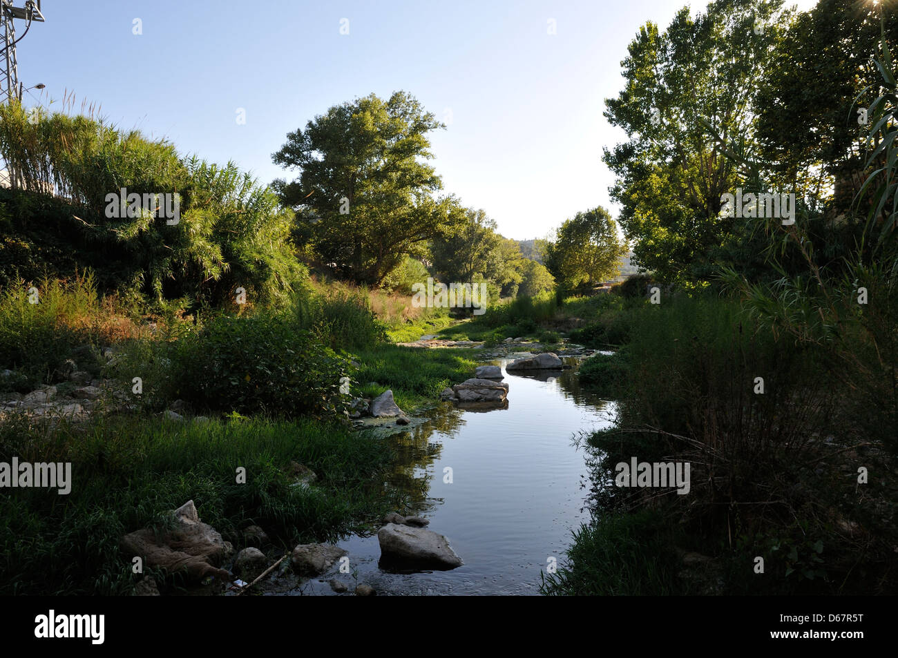 beautiful river with nature Stock Photo - Alamy