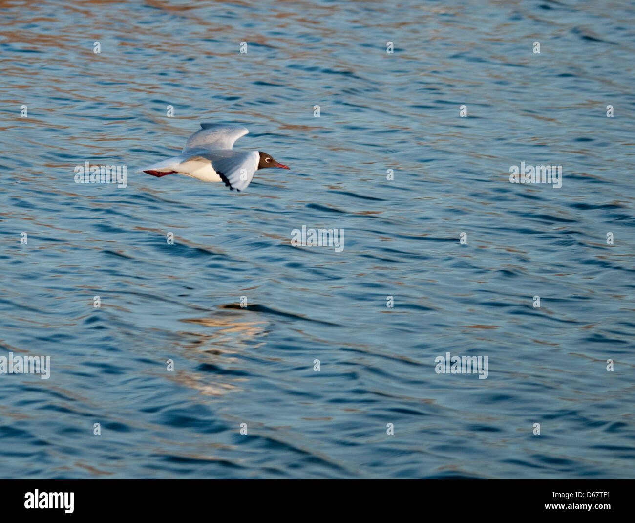Sea reflection of rivers hi-res stock photography and images - Alamy