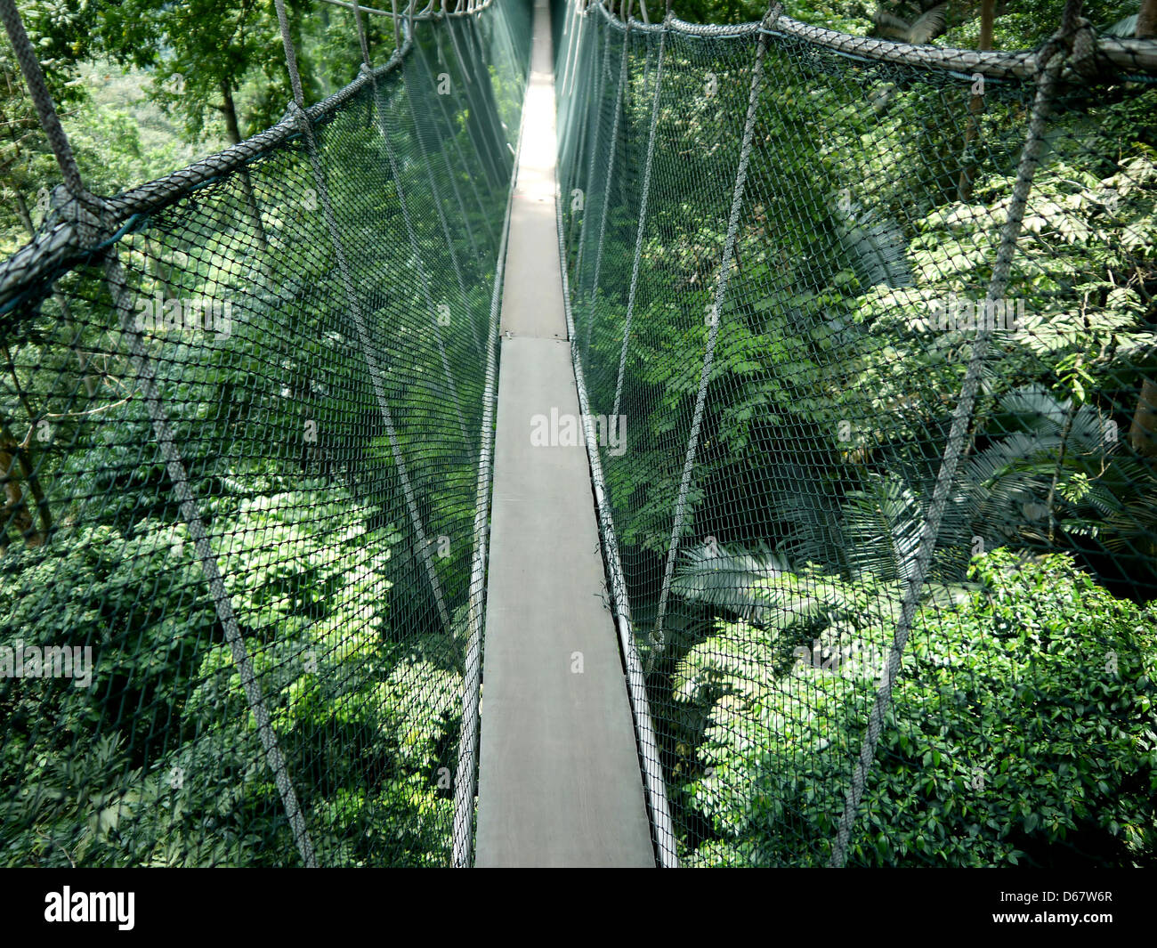Canopy bridge hi-res stock photography and images - Alamy