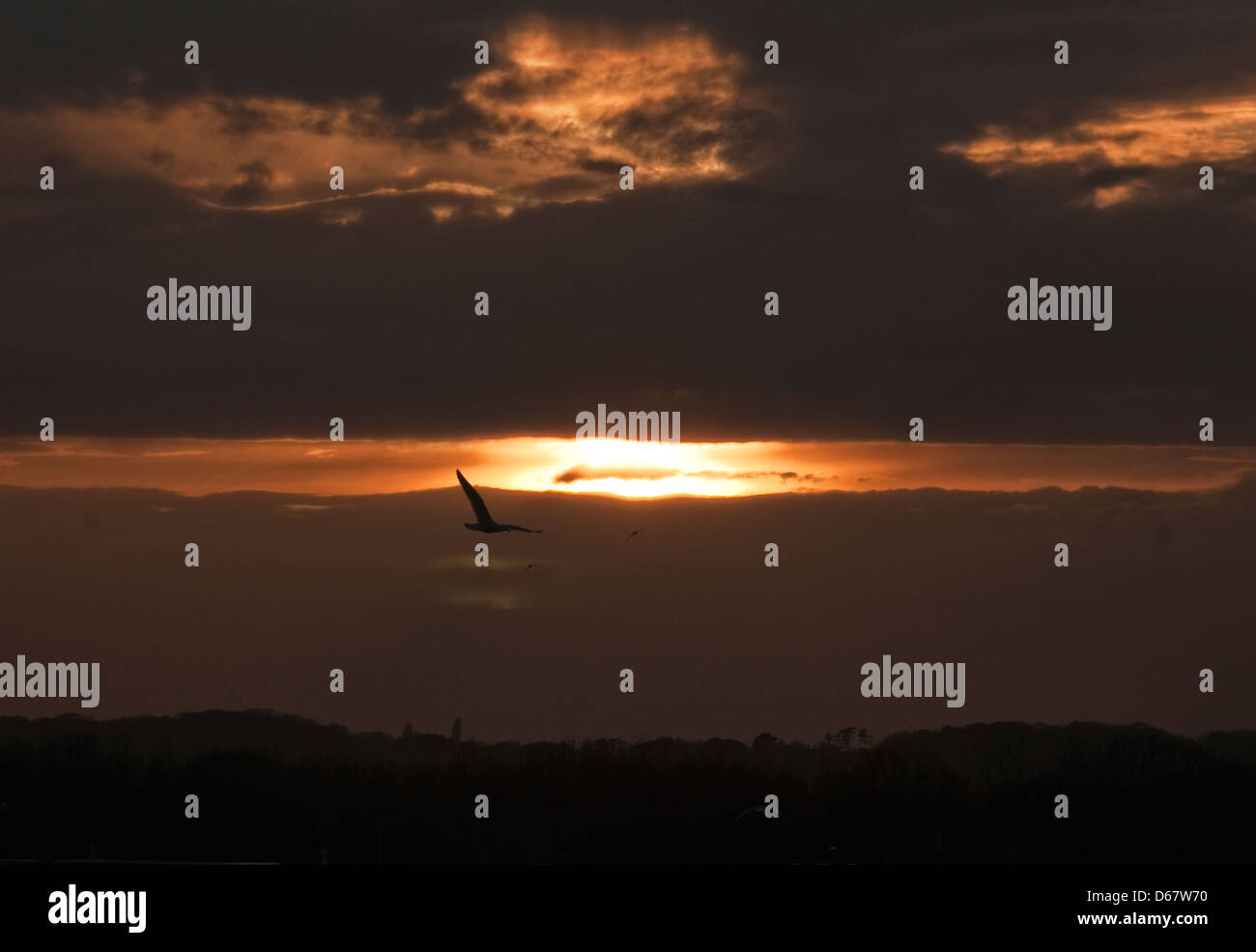 Rye Nature Reserve Sunset Stock Photo - Alamy