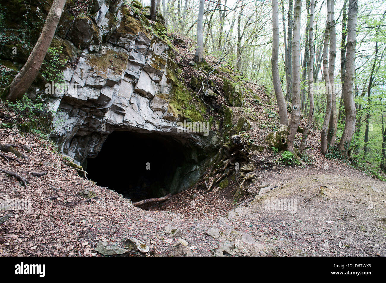 The Koda cave one important karst forms in Bohemian Karst near Tetin ...