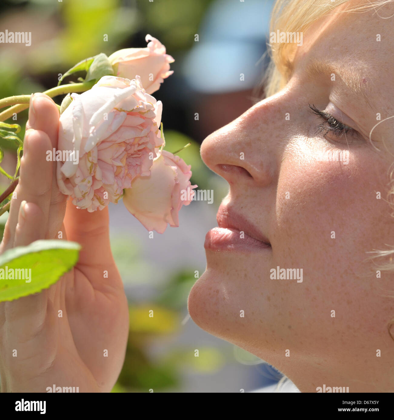 Rose Queen from Bad Langensalza Anja Hobert smells a rose named ...