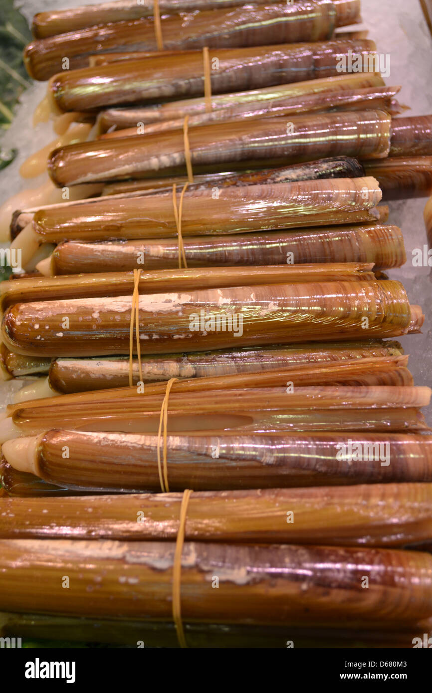 Razor fish hi-res stock photography and images - Alamy