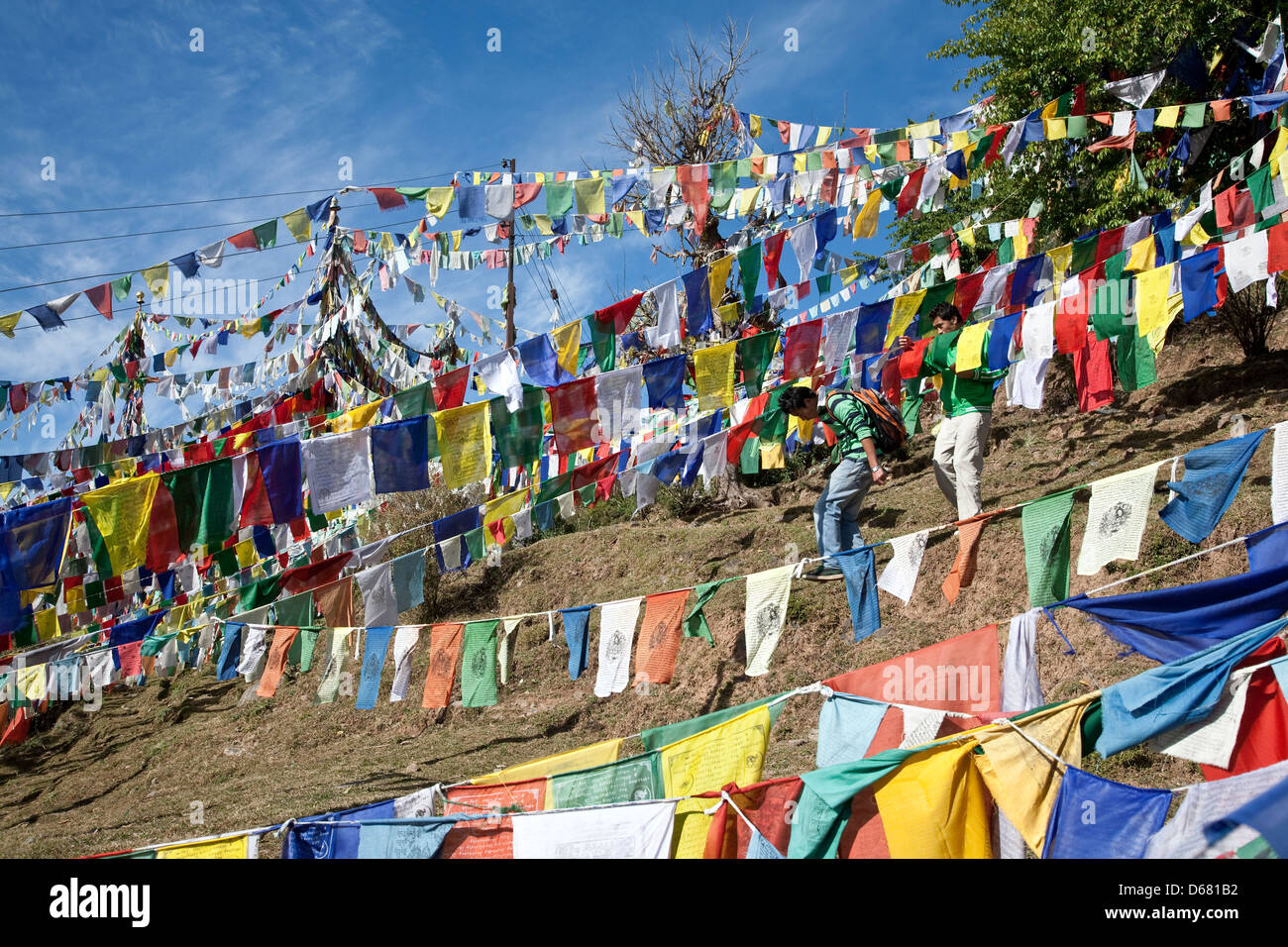 Buddhist prayer flags. Dharamsala. India Stock Photo - Alamy