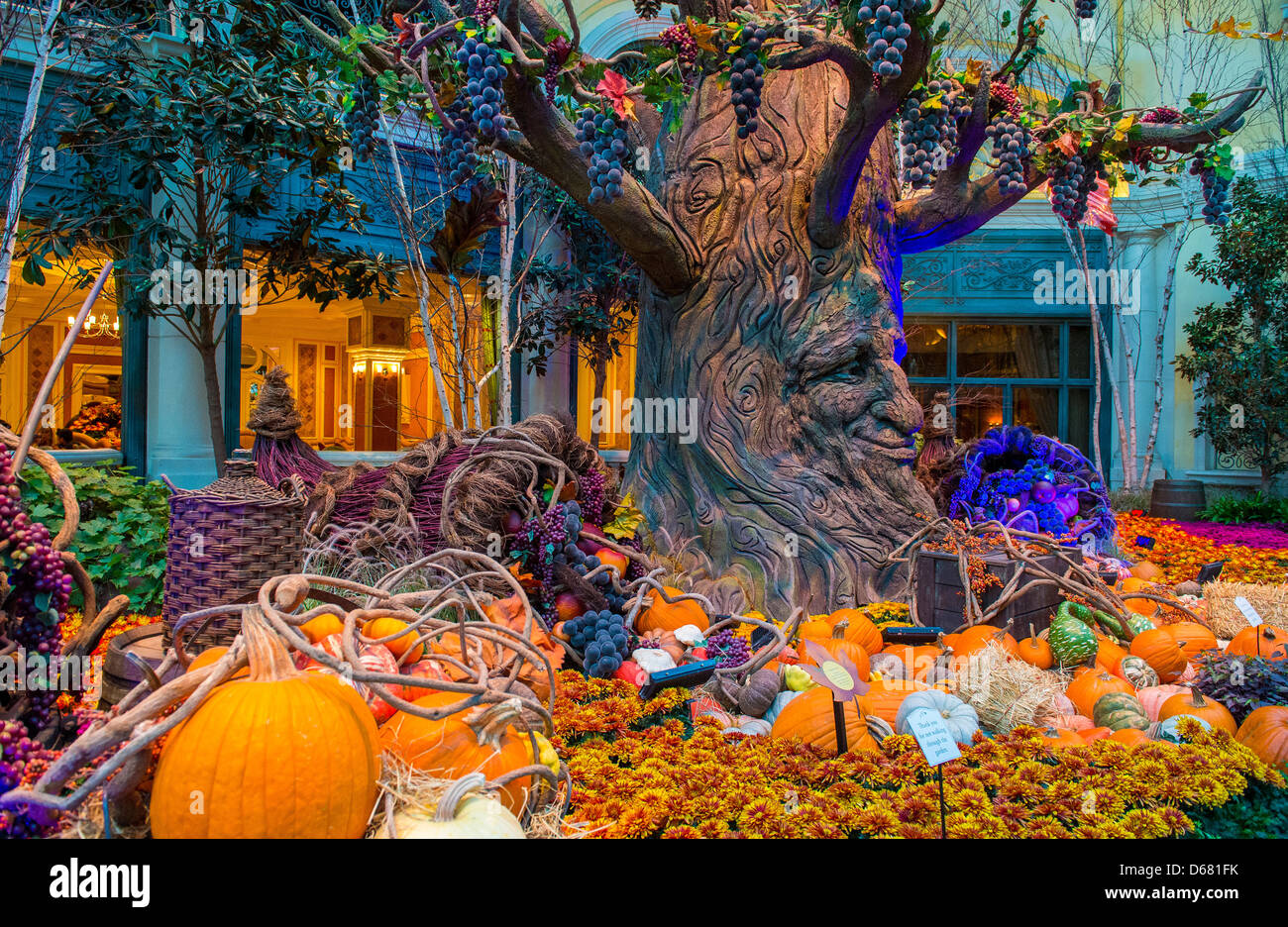 Fall season in Bellagio Hotel Conservatory & Botanical Gardens in Las ...