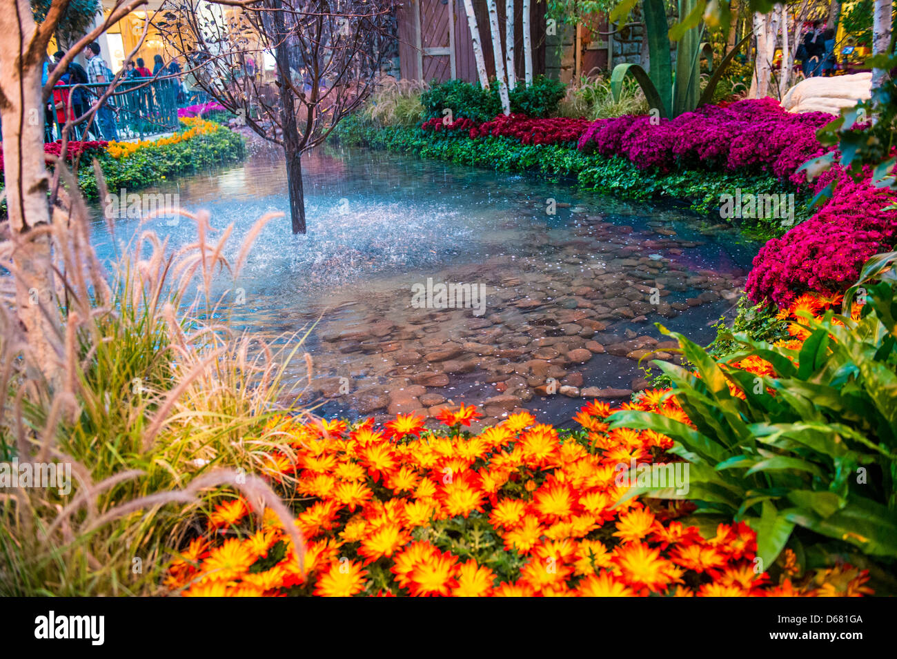 Fall season in Bellagio Hotel Conservatory & Botanical Gardens in Las ...