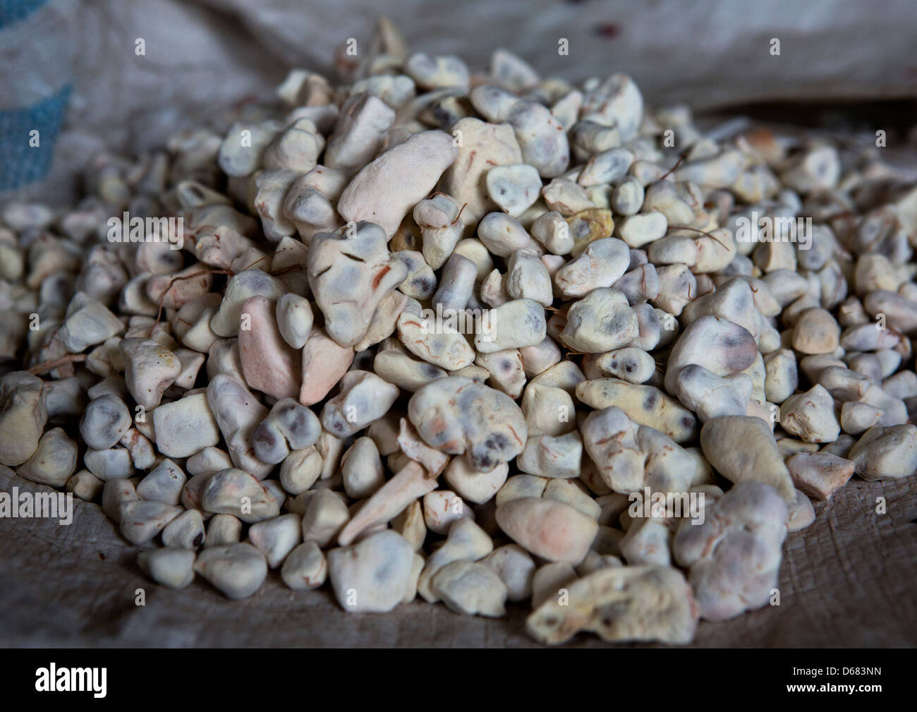 Baobab fruit hi-res stock photography and images - Alamy