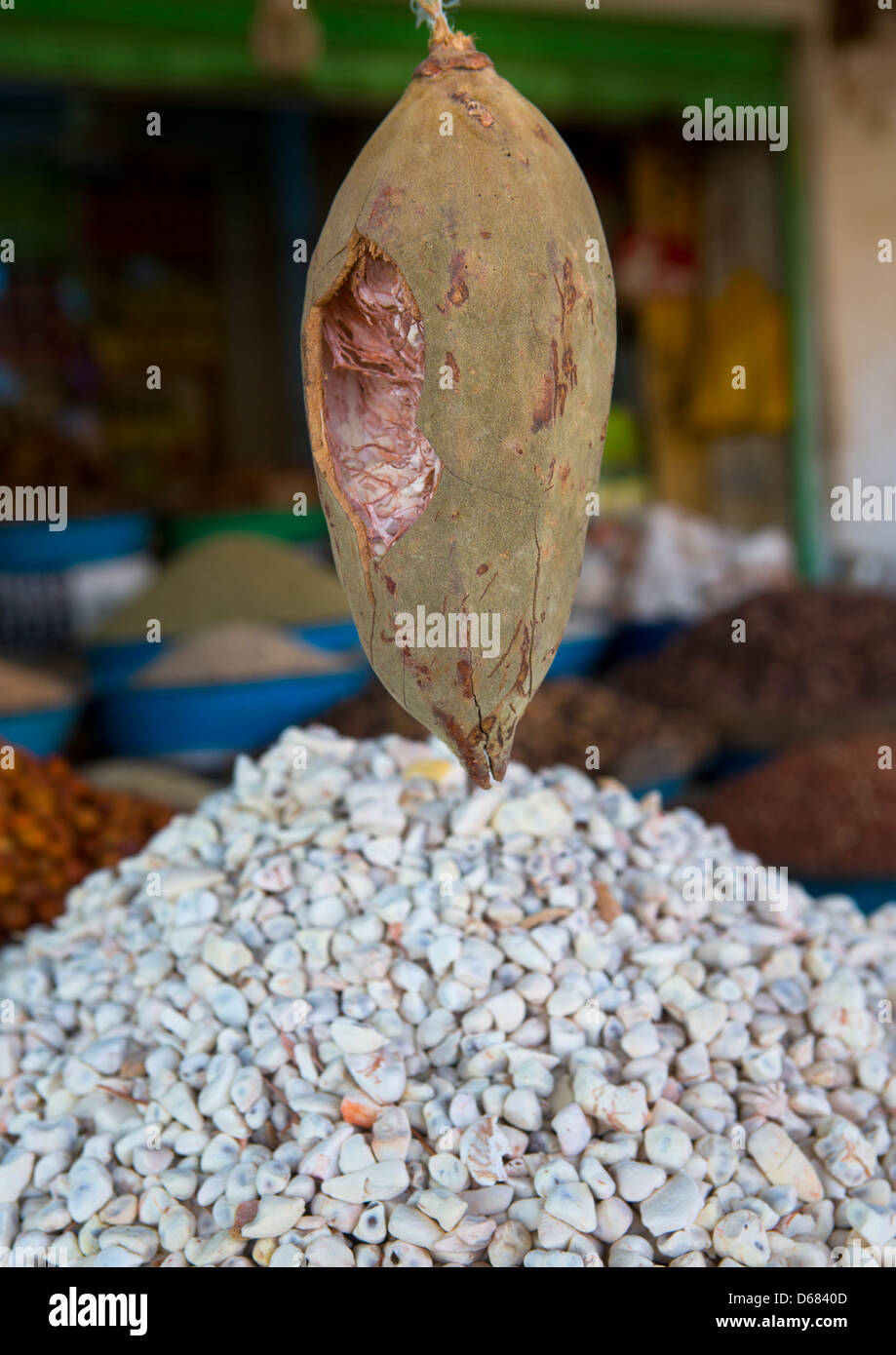Baobab Fruit, Omdurman, Sudan Stock Photo - Alamy
