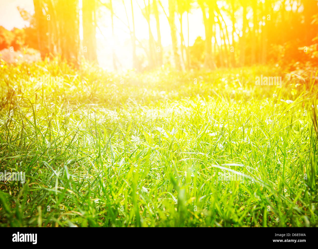 Bright yellow sun hi-res stock photography and images - Alamy