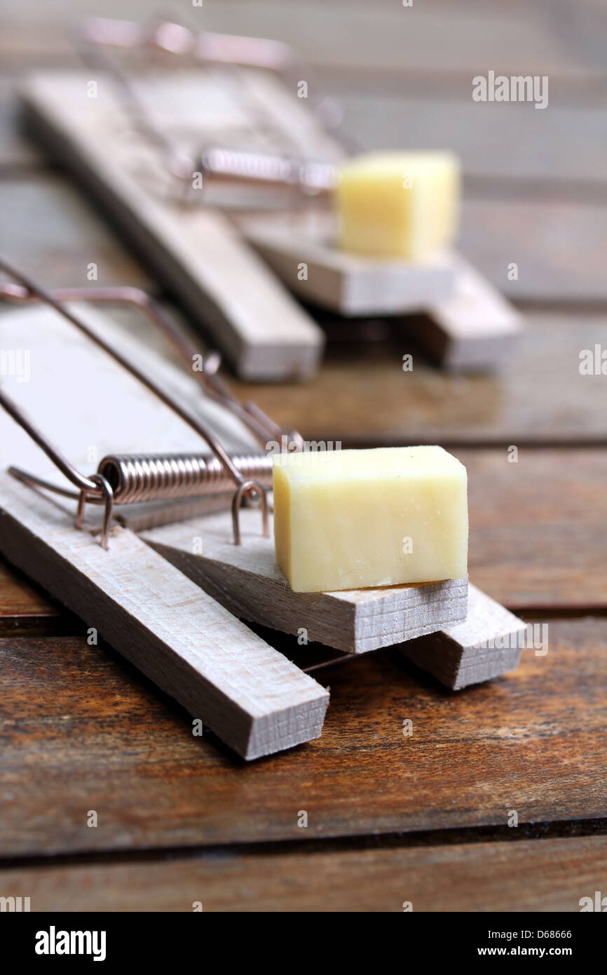 mouse trap with cheese Stock Photo - Alamy