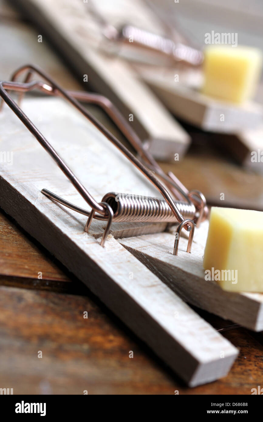 mouse trap with cheese Stock Photo - Alamy