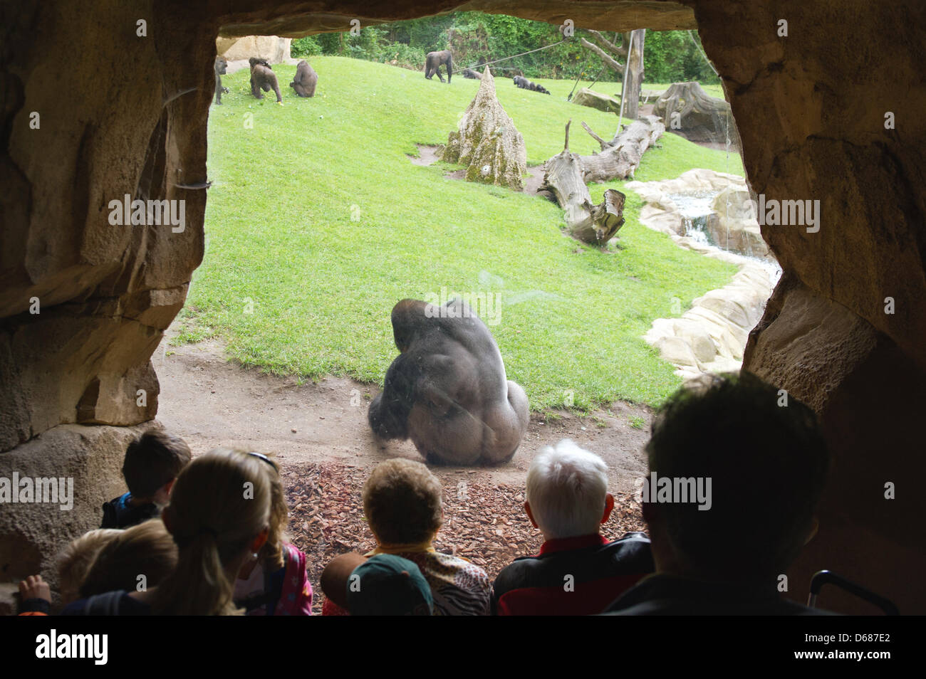 Visitors look at gorillas behind a pane of glass at the zoo in Hanover ...