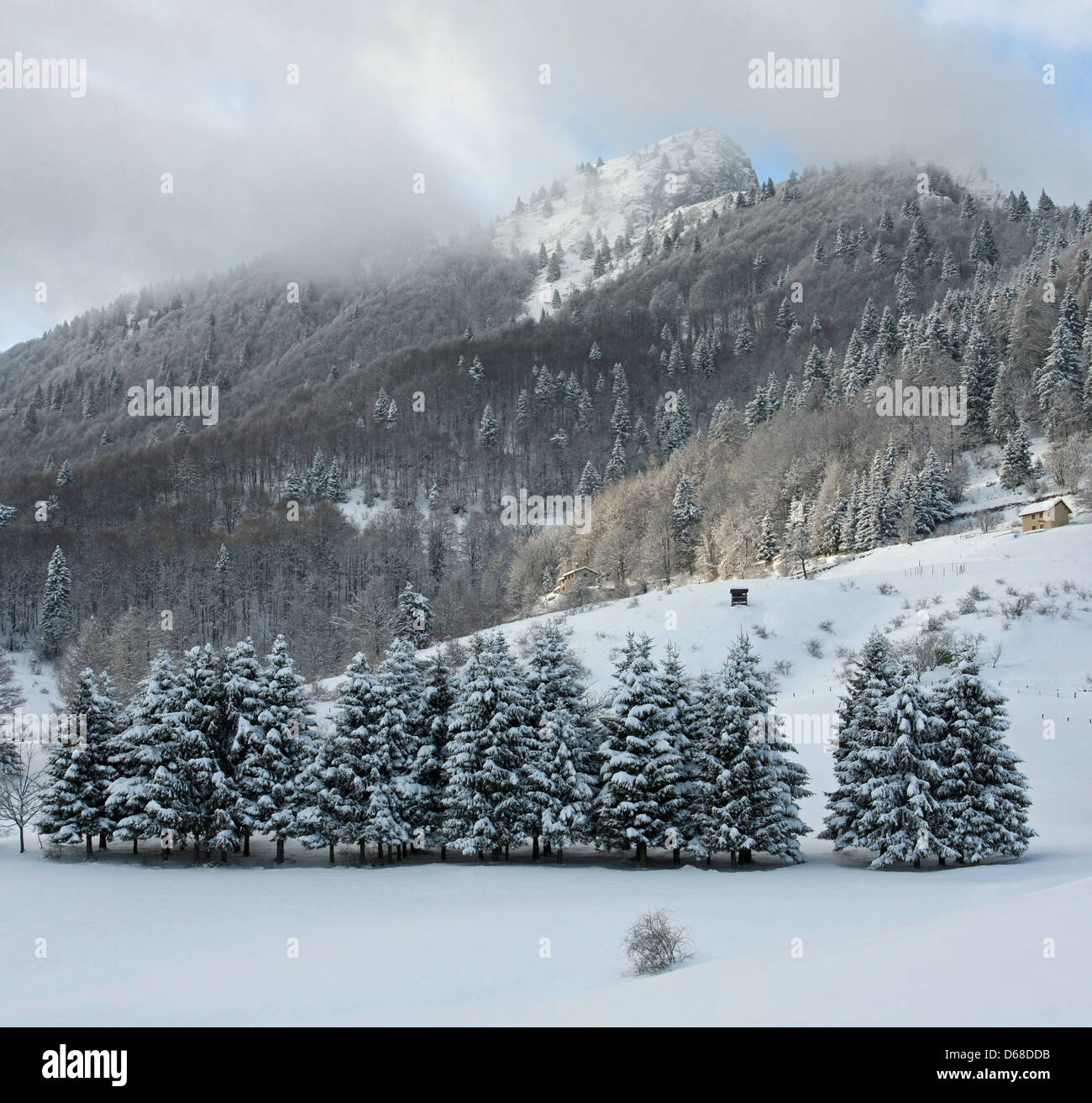 peaks of the Dolomites and the Alps during a beautiful winter day Stock ...