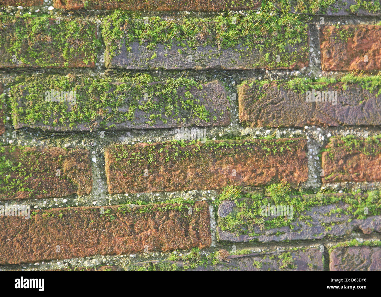 Wet brick hi-res stock photography and images - Alamy