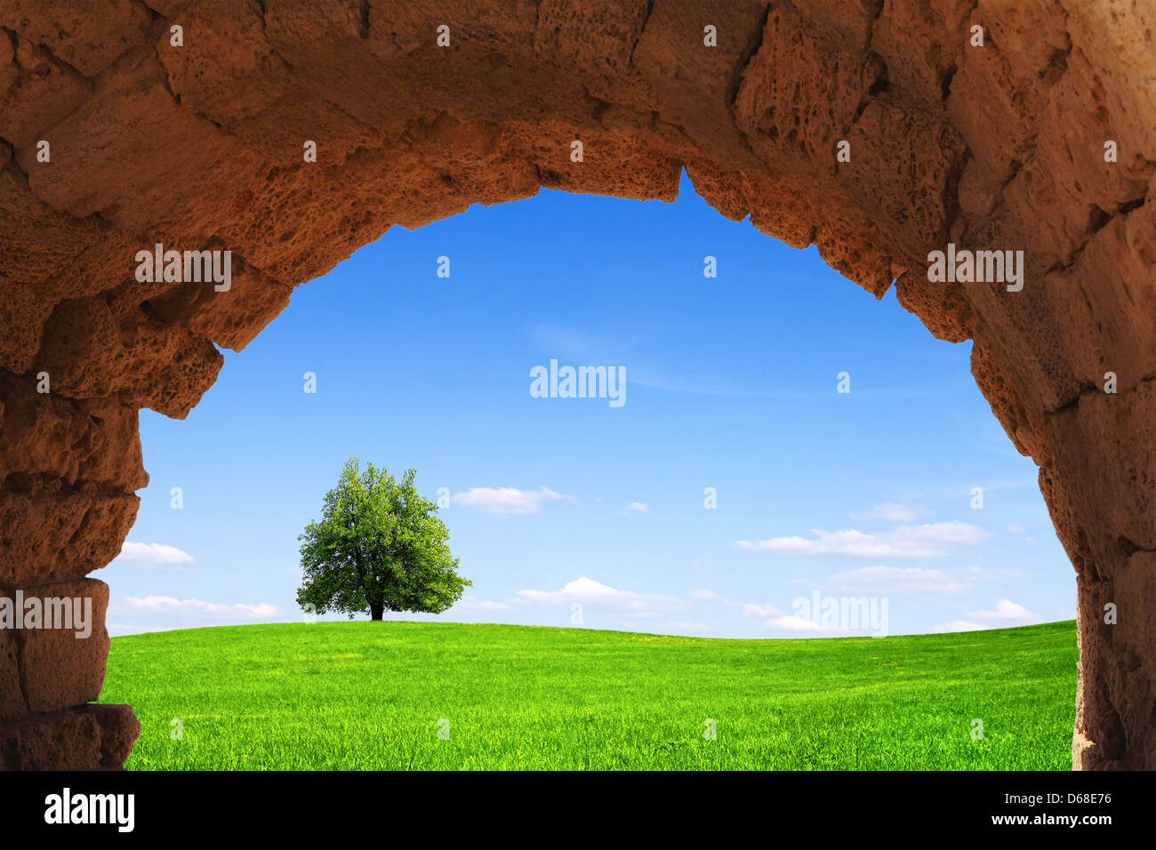Windows on the World Stock Photo - Alamy