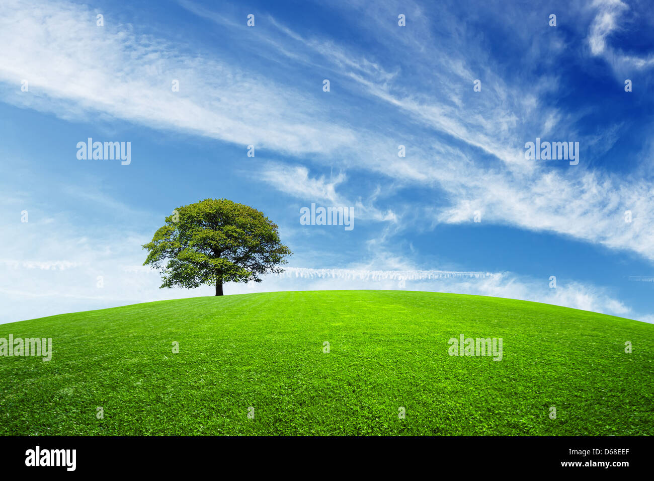 Green tree on green field Stock Photo - Alamy