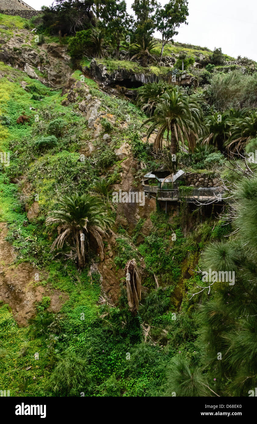 La Palma, Canary Islands - Zoo, Santa Cruz. Maroparque. Cages in ...