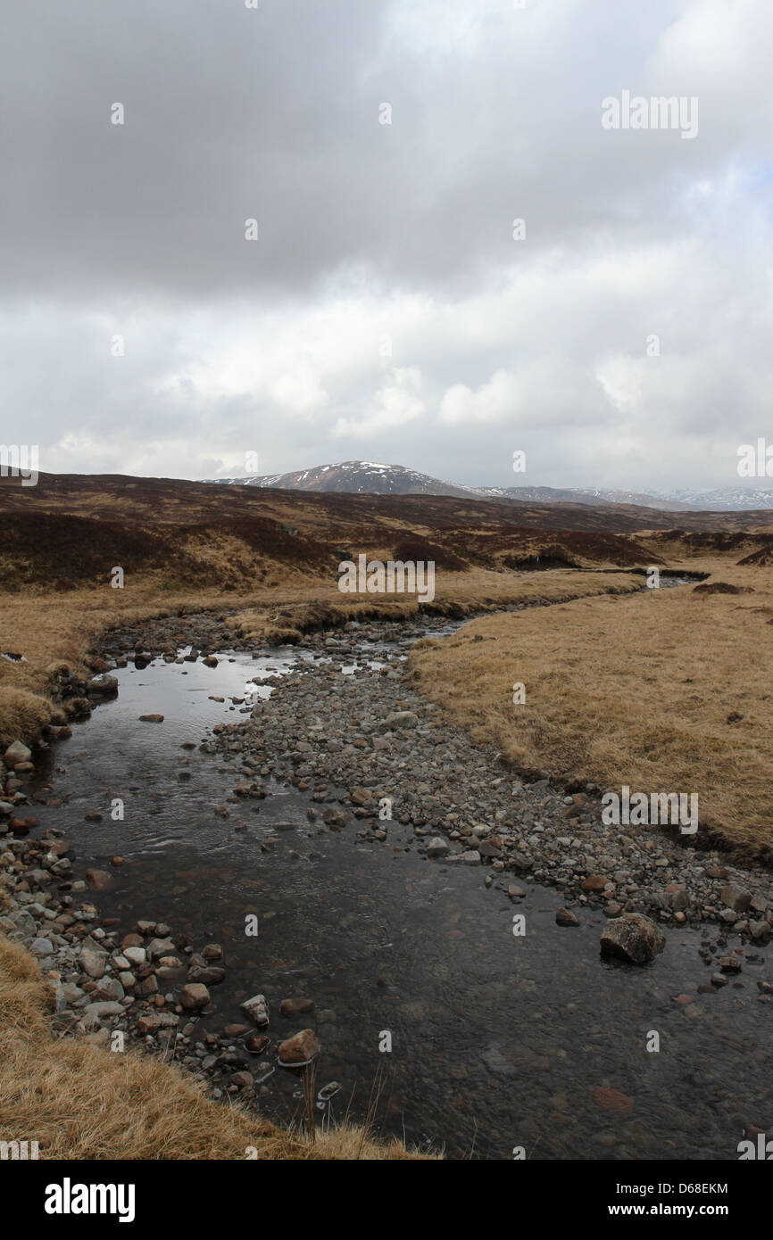 Stream Rannoch Moor Scotland April 2013 Stock Photo - Alamy