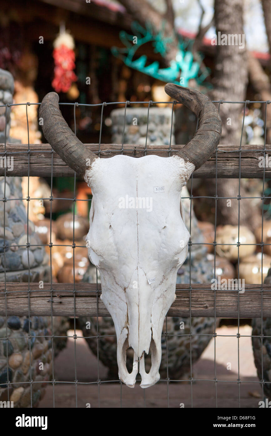 Desert skull arizona hi-res stock photography and images - Alamy