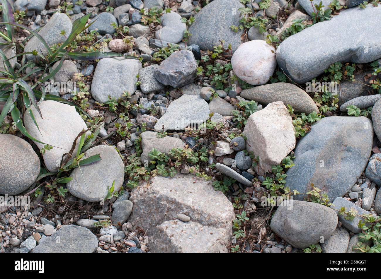 stone background with green grass Stock Photo - Alamy