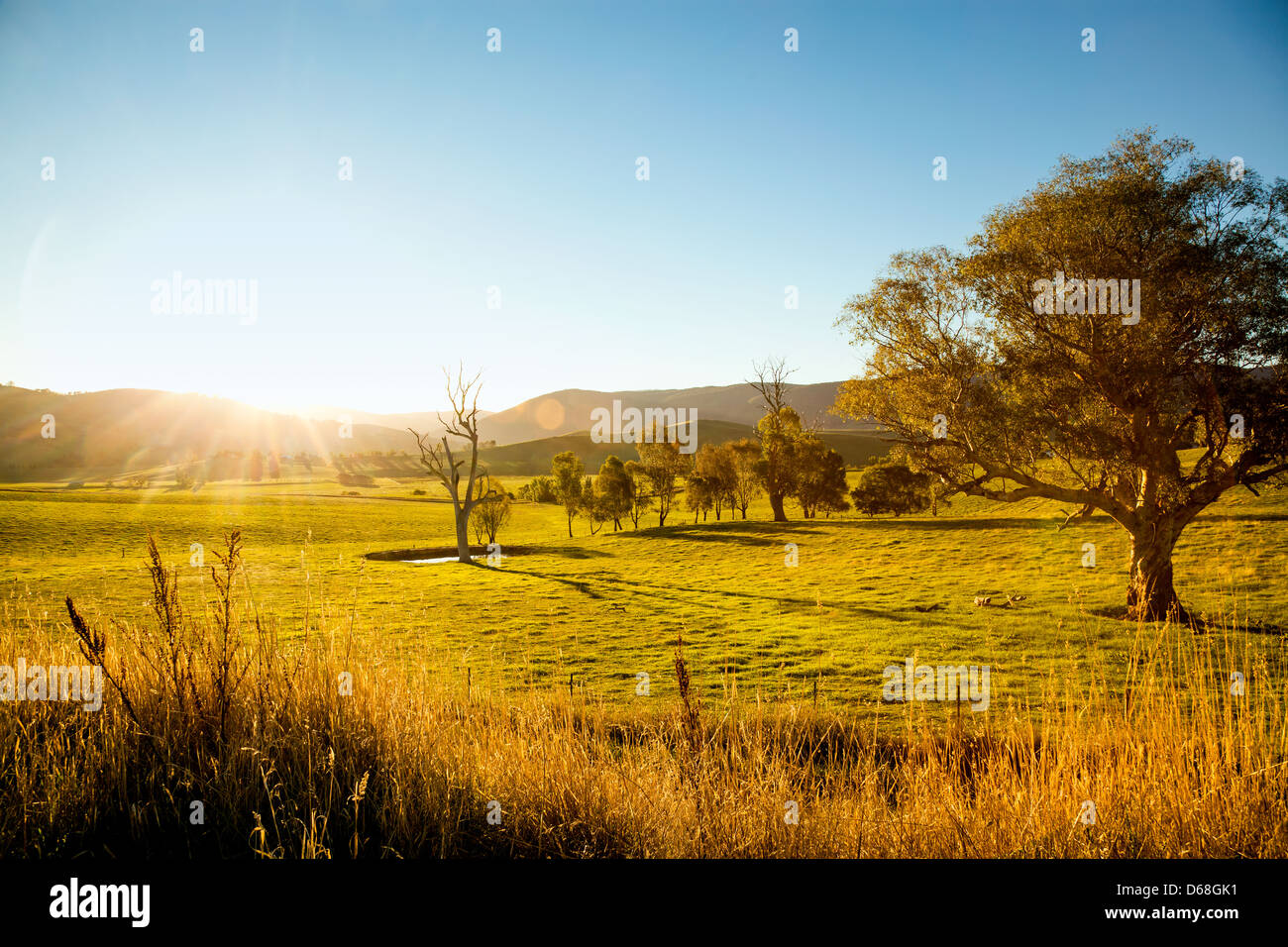 Australian landscape farm sunset hi-res stock photography and images ...