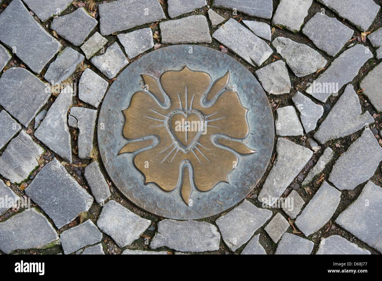 A Luther rose is seen on a path in Eisleben, Germany, 16 July 2012. The ...