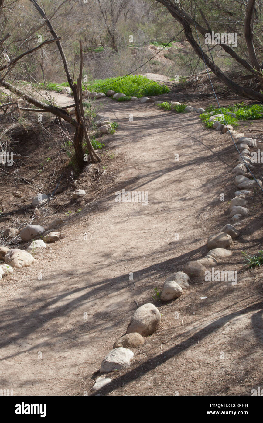 Path with border of stones and small trees or bushes on each side Stock ...