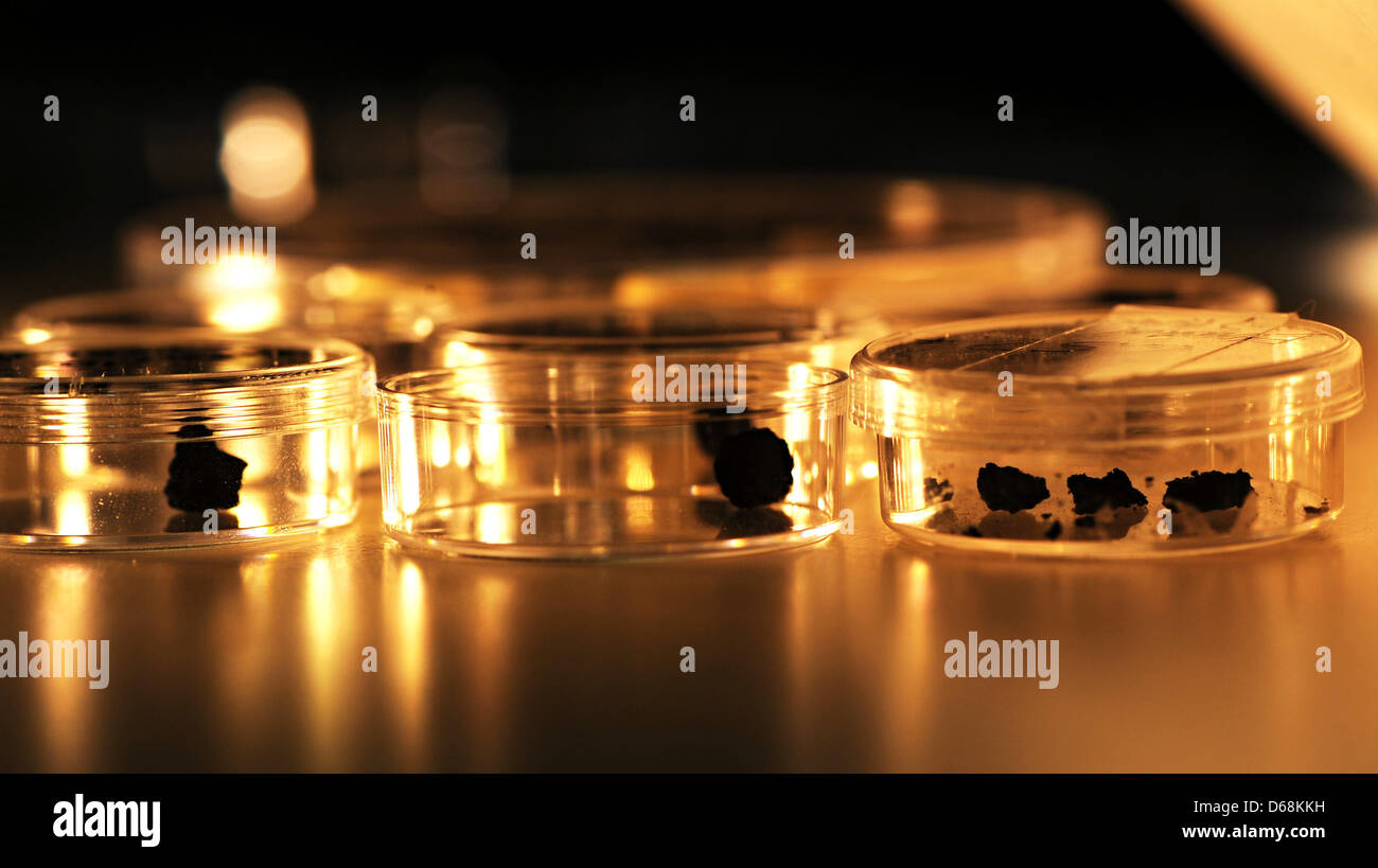 Aerographite sits in see-through containers during the unveiling of the ...