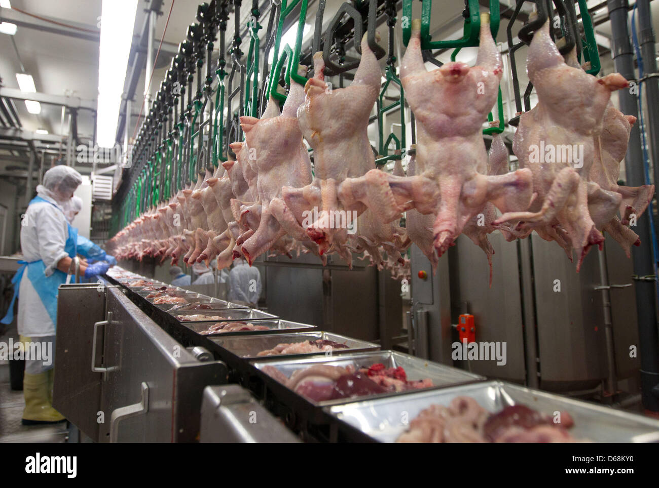 Official meat inspectors monitor the production process at Wiesenhof ...
