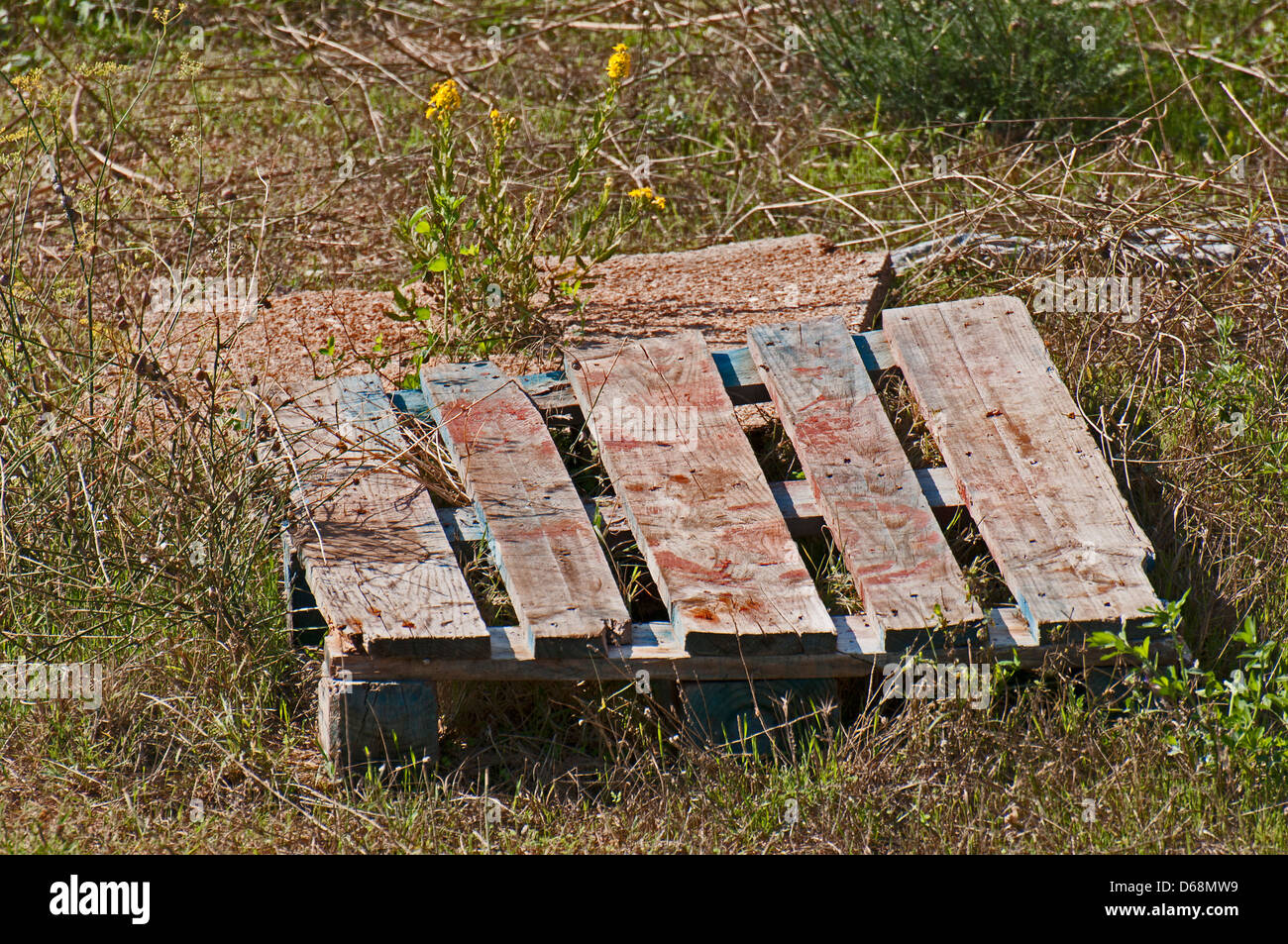pallet in the field as garbage pulled Stock Photo - Alamy
